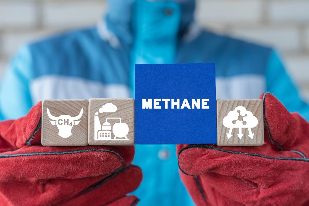 Alinhada ao Global Methane Pledge, Danone estabelece meta de redução de ...