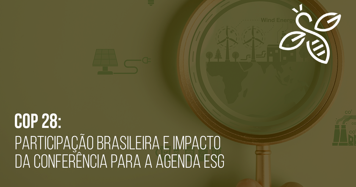 COP 28: participação brasileira e impacto da conferência para a agenda ...